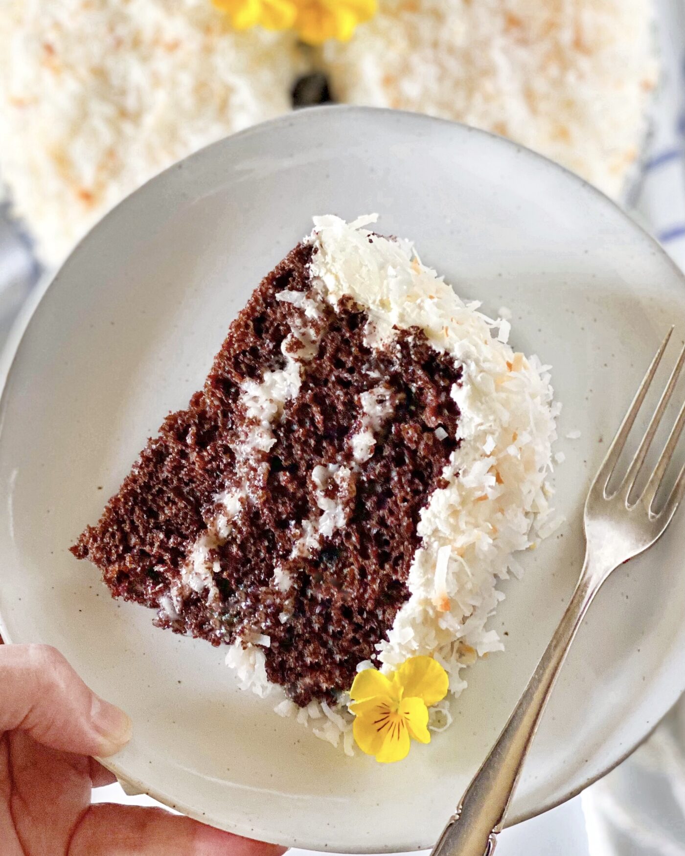 Coconut Cream Chocolate Cake – Michellesipsandsavors
